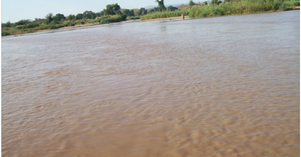 Shayamombe Dziva Totem