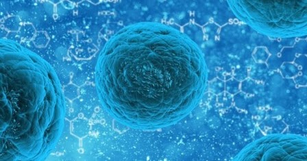 6 Komponen Rantai Penularan Infeksi - Medianers