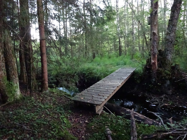 Ingas tankställe: På villovägar och knavriga stigar