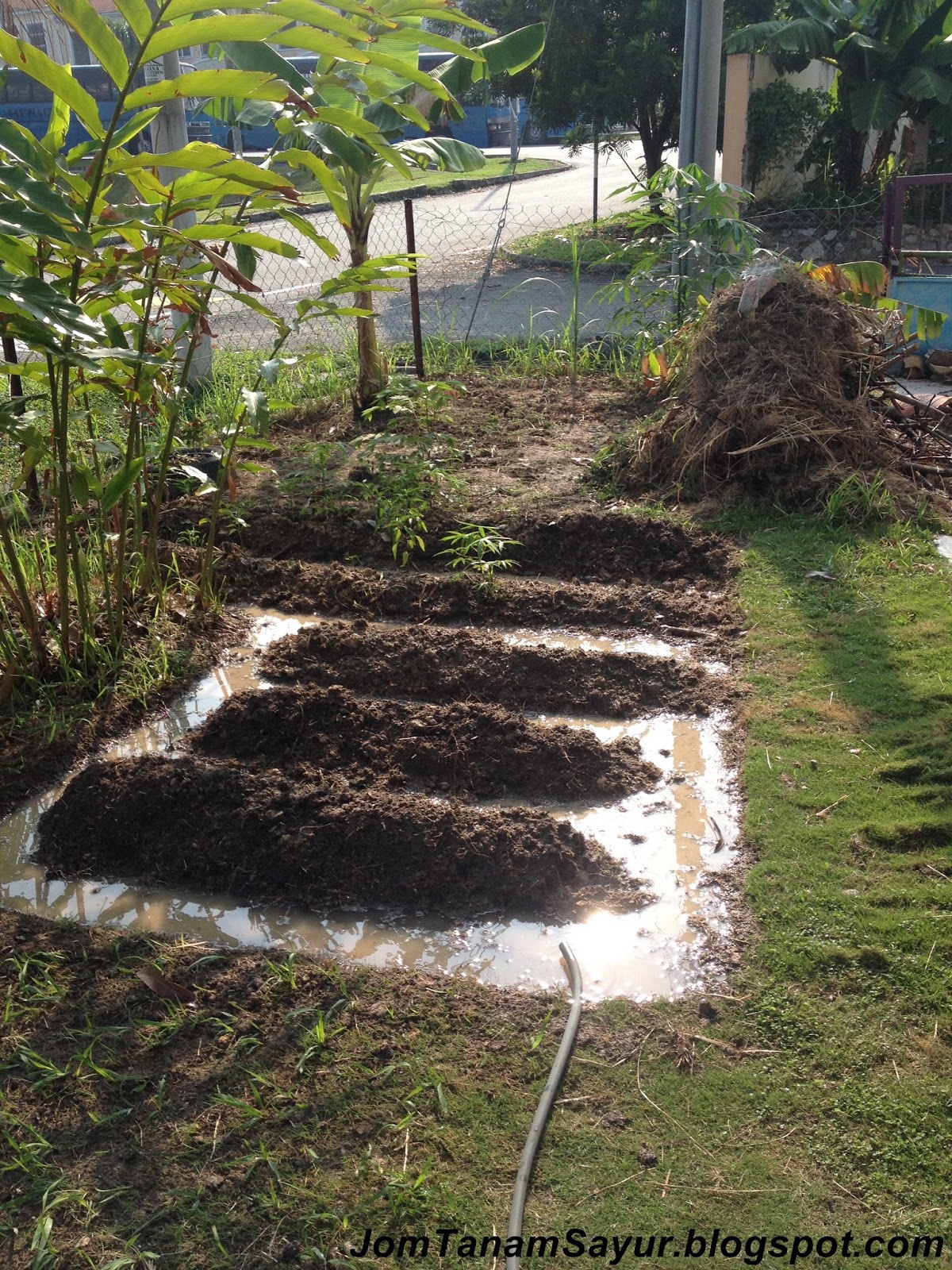 Jom Tanam Sayur ( JTS ) : Jom Tanam Sayur - Kebun Tepi Rumah ( KTR ...