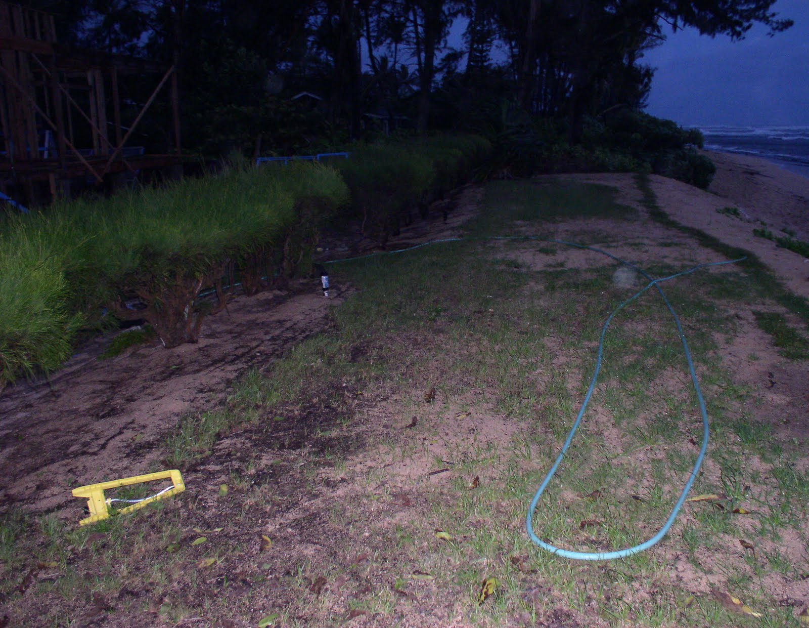 PIKO: Winners and Losers