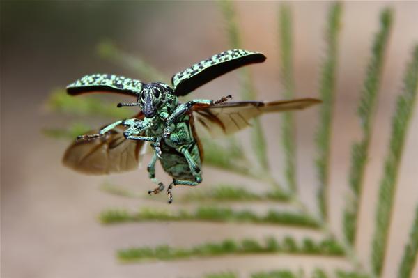 Design Articles, Logo, Articles, 3D Gallery, Fresh Contents