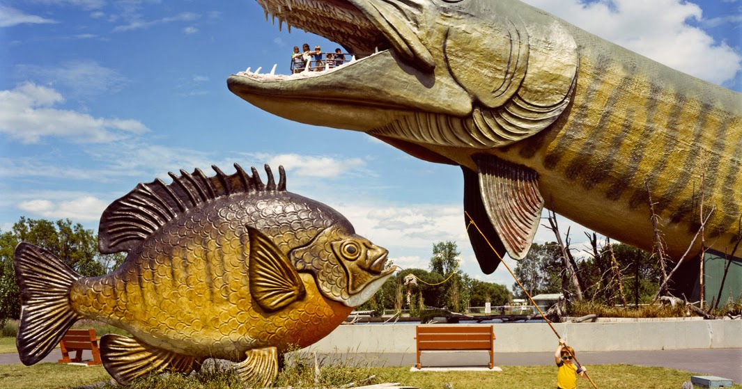 Lyssa humana: Photographer: David Graham