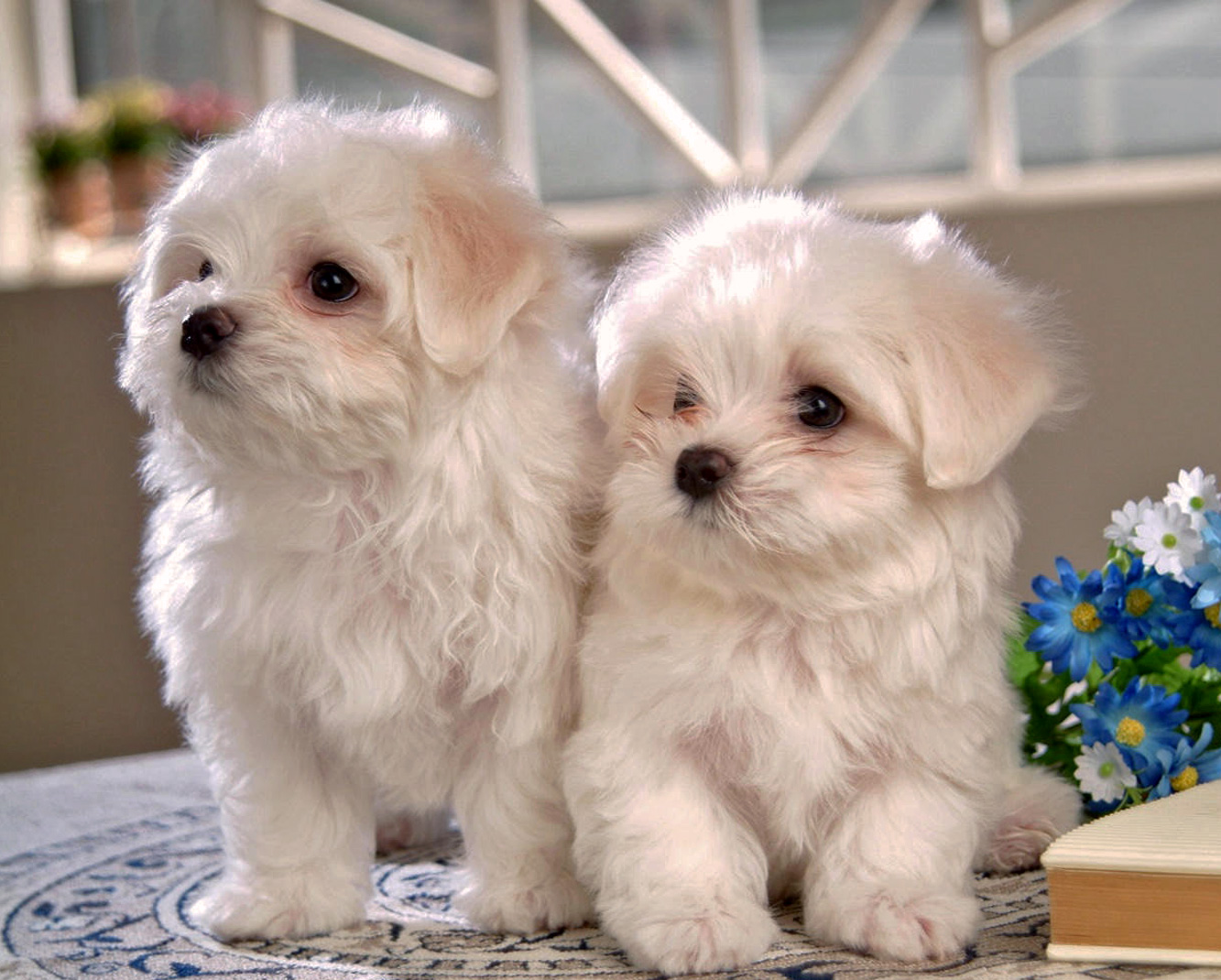 MARY: septiembre 2012