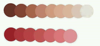 Palet Warna Kulit , Bibir dan Rambut dalam Gambar Vektor | inspirasi