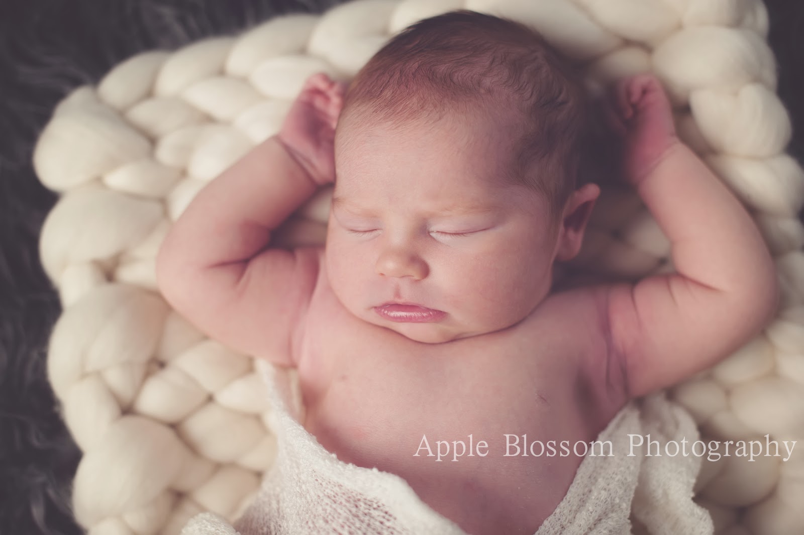 Check me out! - Portland Oregon Newborn Photographer