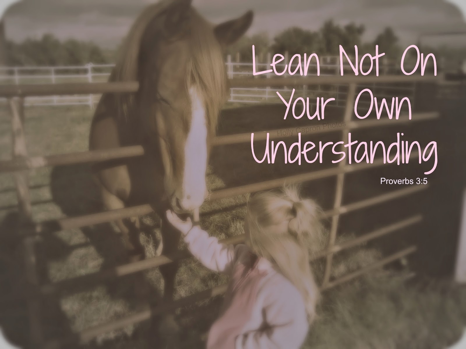 This Side Of The Fence: Lean Not On Your Own Understanding Proverbs 3 5