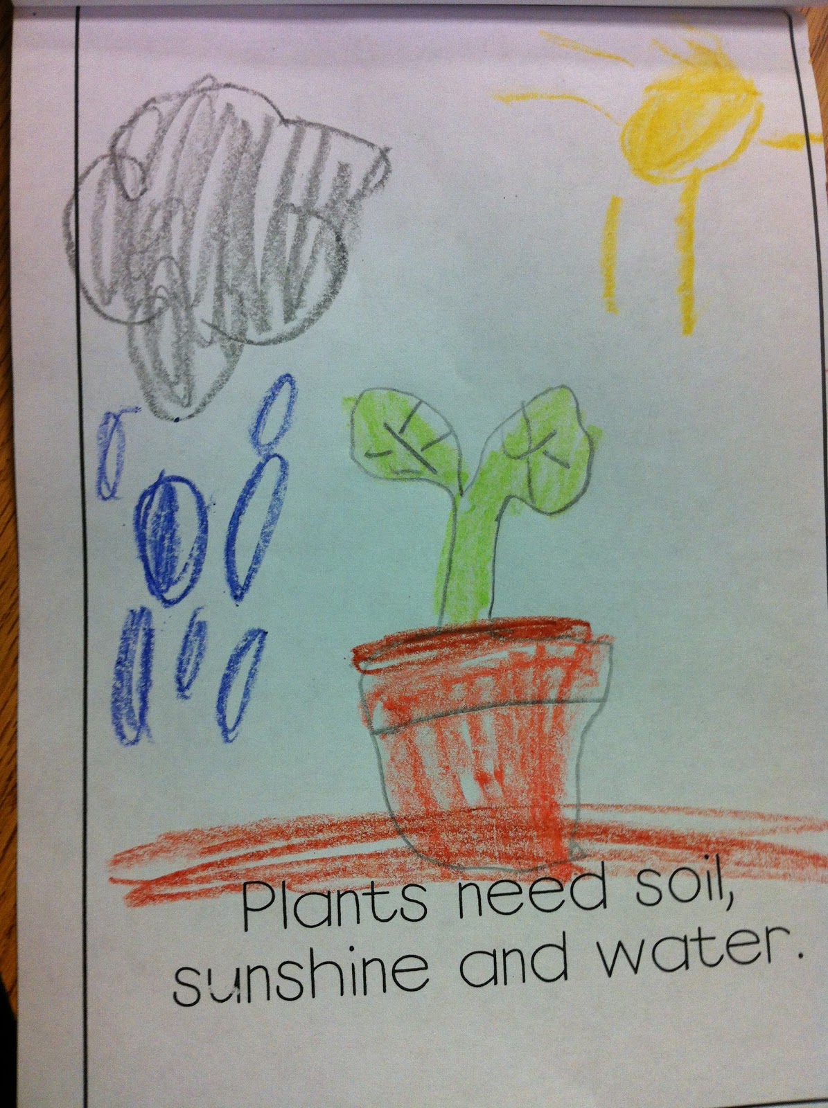 The Adventures of a K/1 Teacher: Fun with Plants