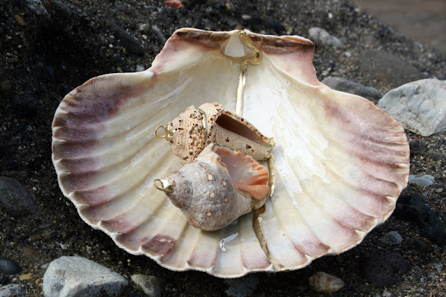 AT THE BOTTOM OF THE SEA...