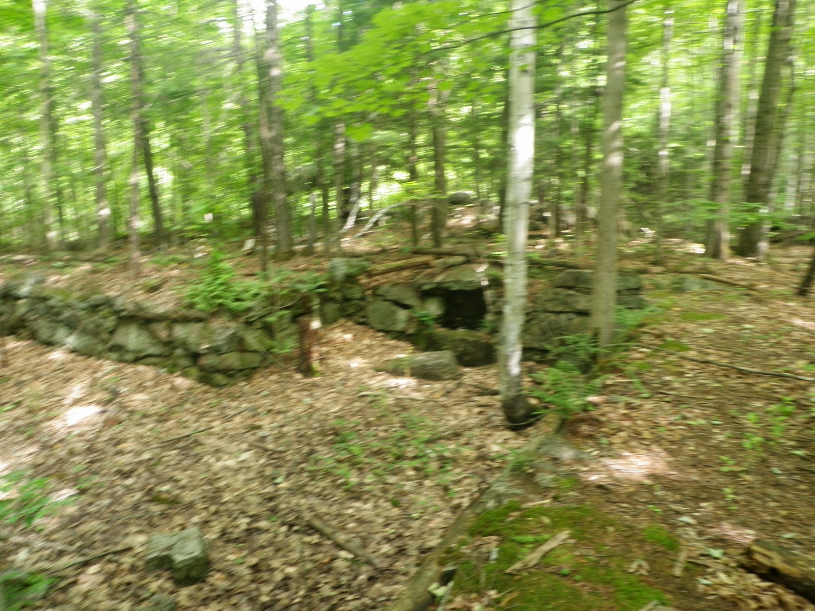 Trekking For A Cure. Giving MS The Boot!!: Monroe Hill (Fox State ...