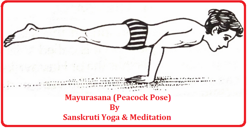 SANSKRUTI YOGA & MEDITATION: Mayurasana (Peacock Pose)
