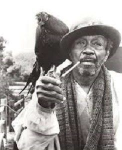 INNER TOOB: FOR BLACK HISTORY MONTH, TWO FOR TUESDAY ON CHICKEN GEORGE