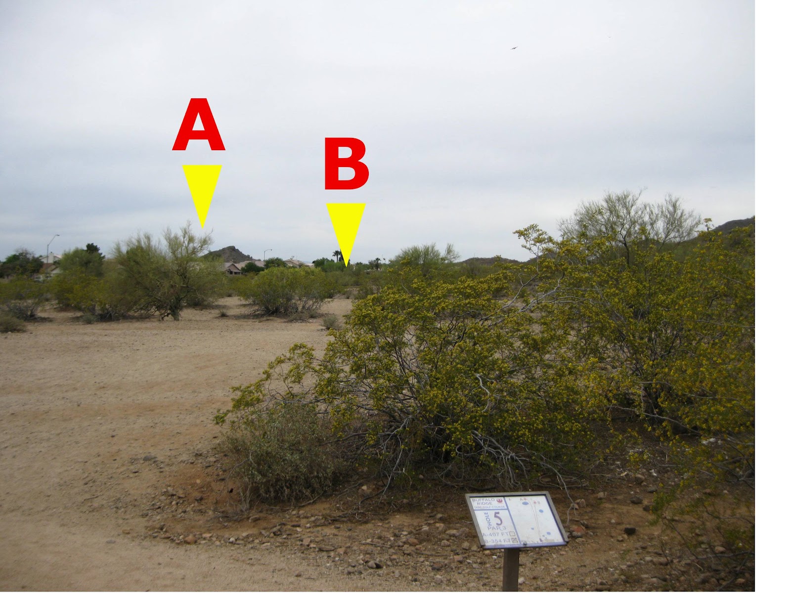 Buffalo Ridge Disc Golf Course: HOLE 5