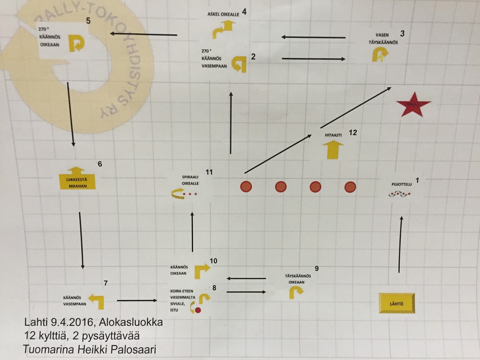 Kääpiöpinseri Harri: Rally-Toko radat