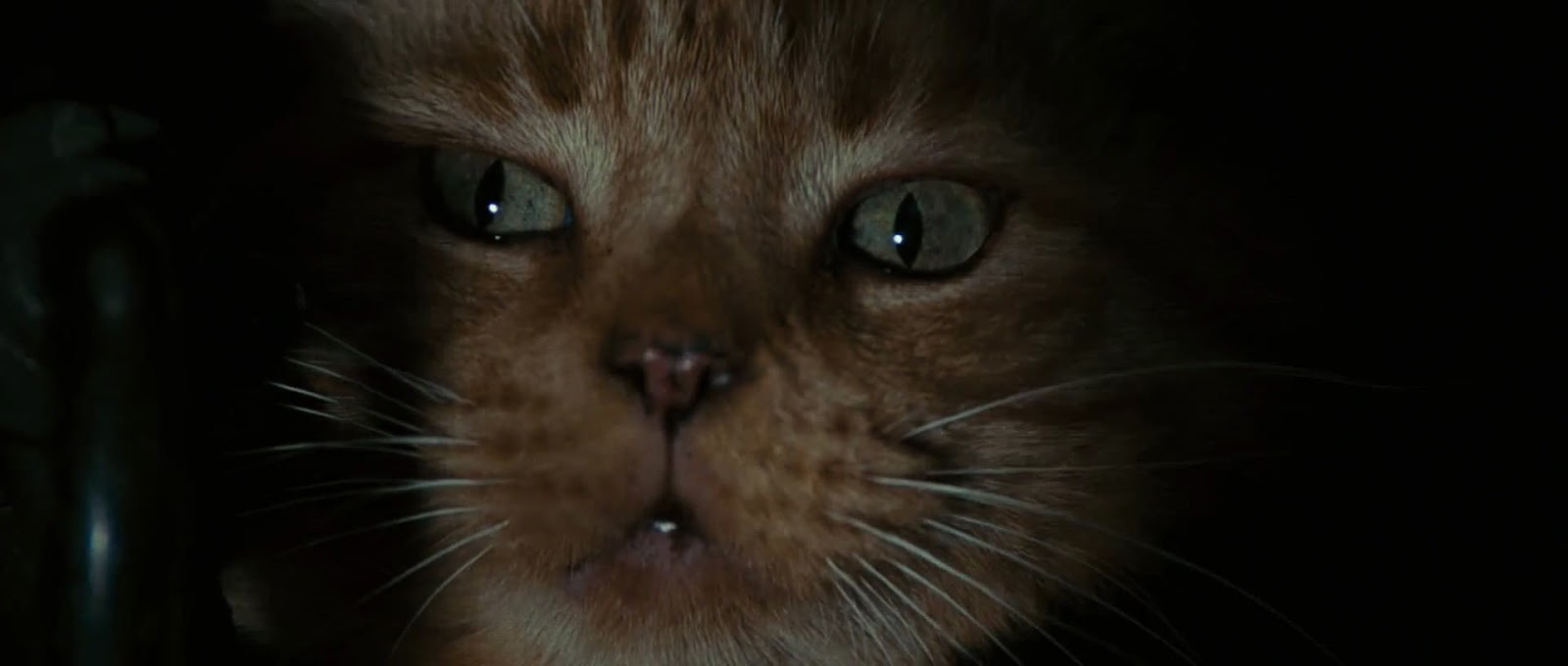 The Cathode Ray Mission: Screenshots: My Top 100 Favorite Films 40 to 31