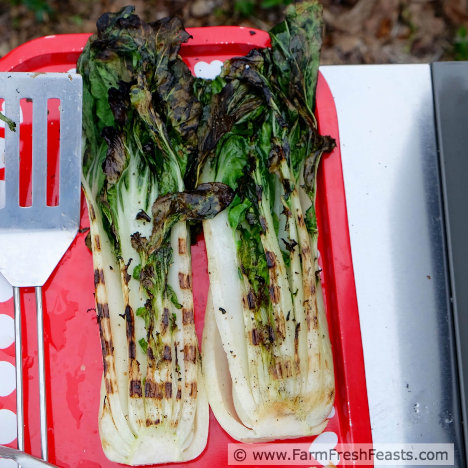 Farm Fresh Feasts: Grilled Bok Choy (A story of a picky eater reformed ...