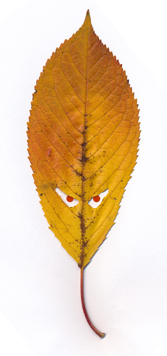 Mislaid Masterpieces: The evil leaf