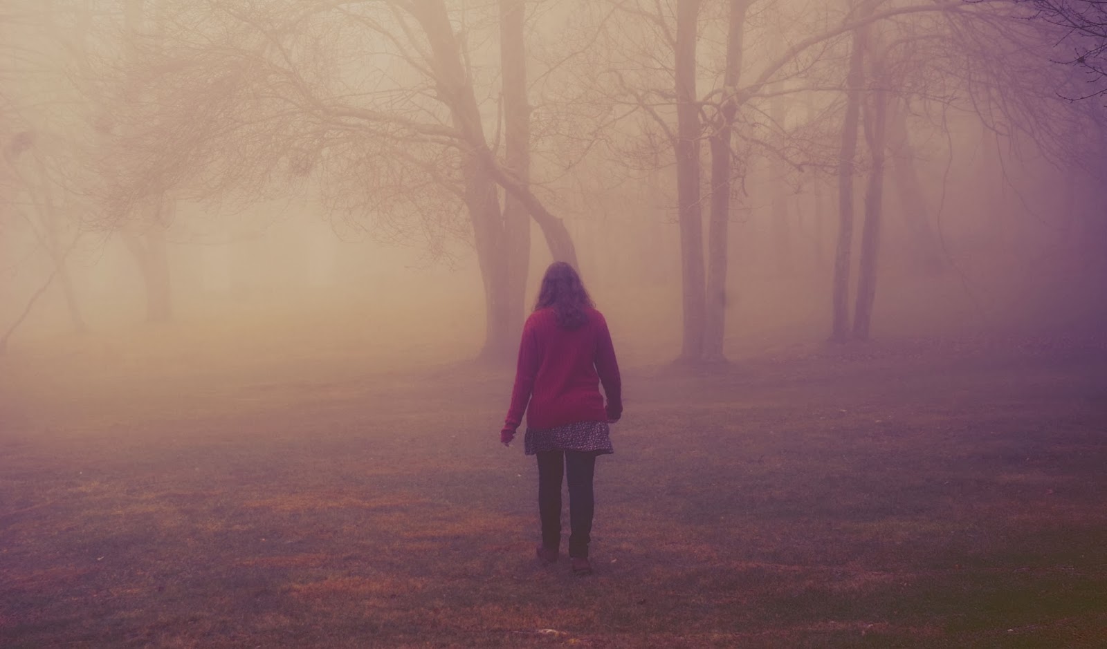 Kitty Adventures: Amazing Fog