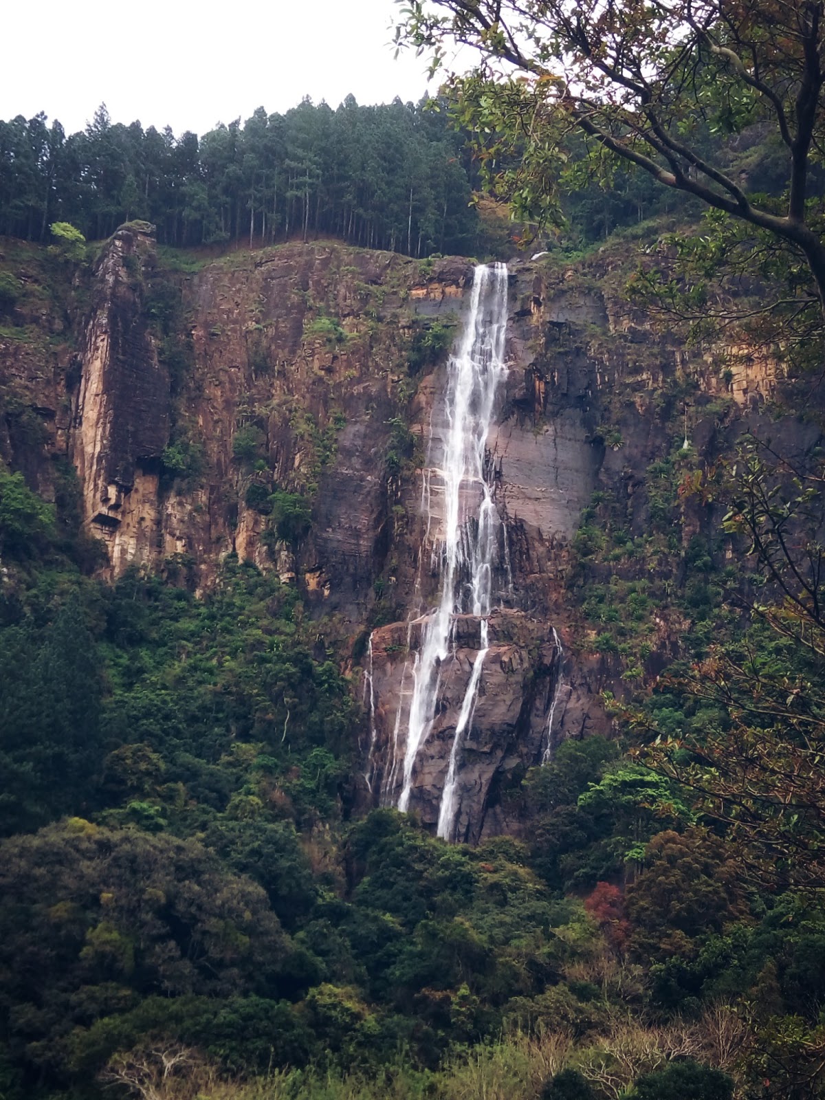 ලින්කන්ගෙ වෙබ් පිටුව: ඔහිය සිට යකාගේ පඩිපෙල පසුකර බඹරකන්ද දියඇල්ලට ...