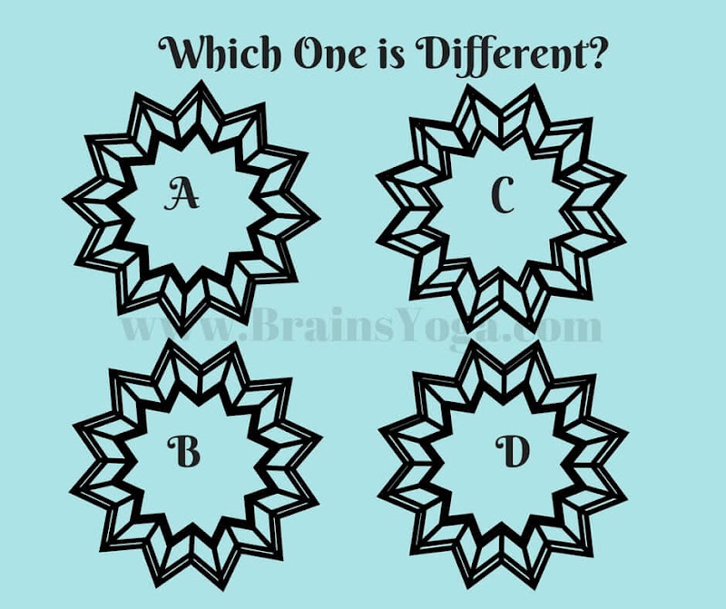 Odd One Out Picture Puzzle with Answer