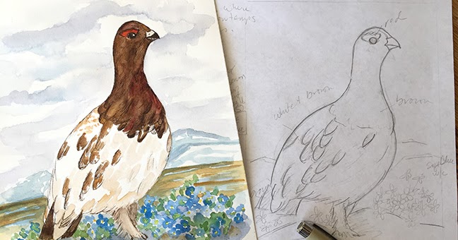 State Bird Illustration Series Large Birds