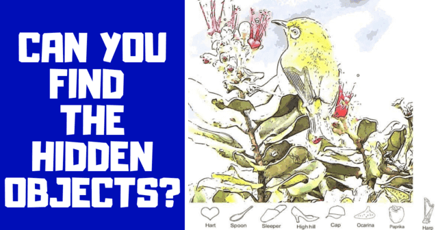 Hidden Object Pictures for Adults with Answers