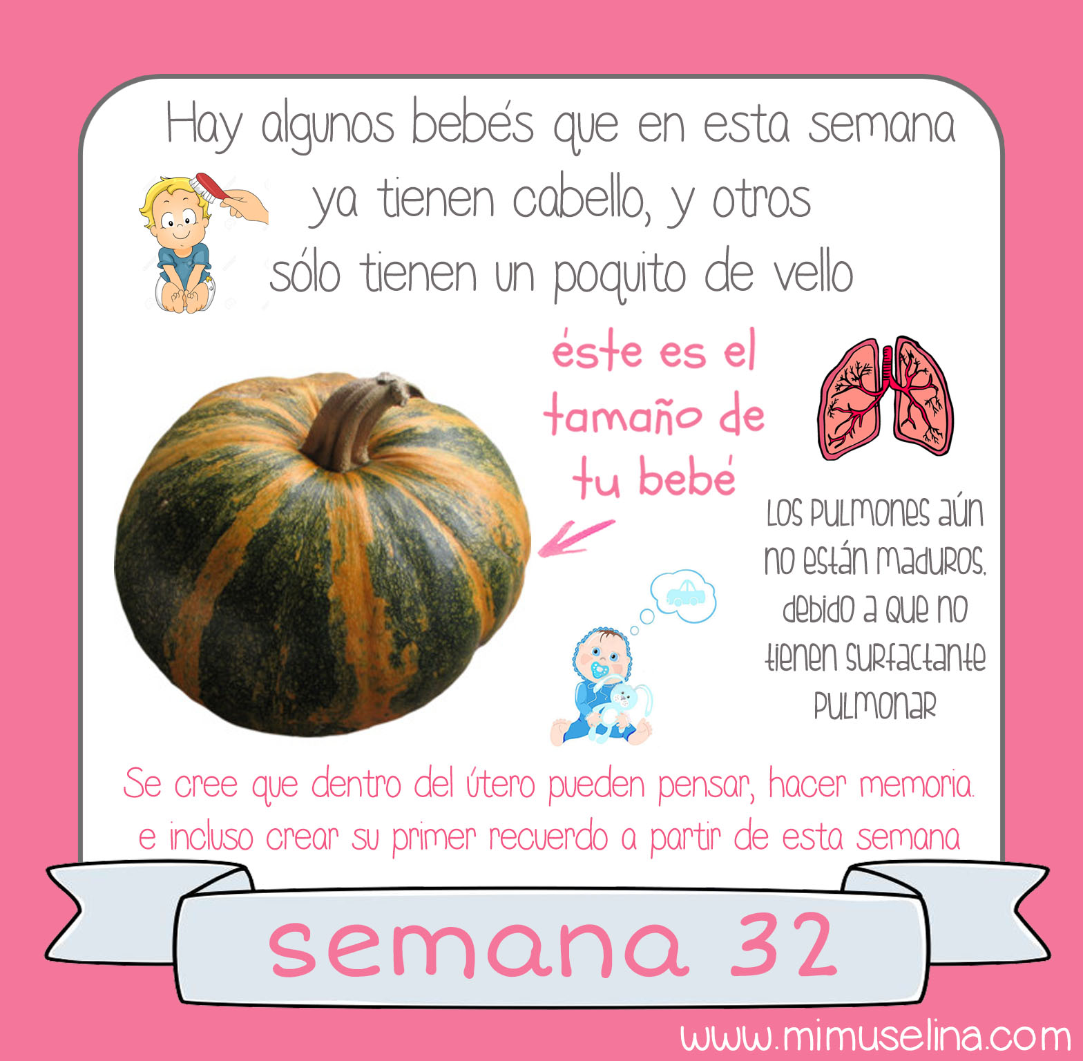 Semana 32 De Embarazo Fotos