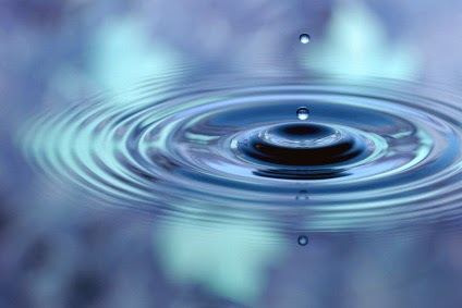 A Closer Walk: Staying Out of the Emotional Pool