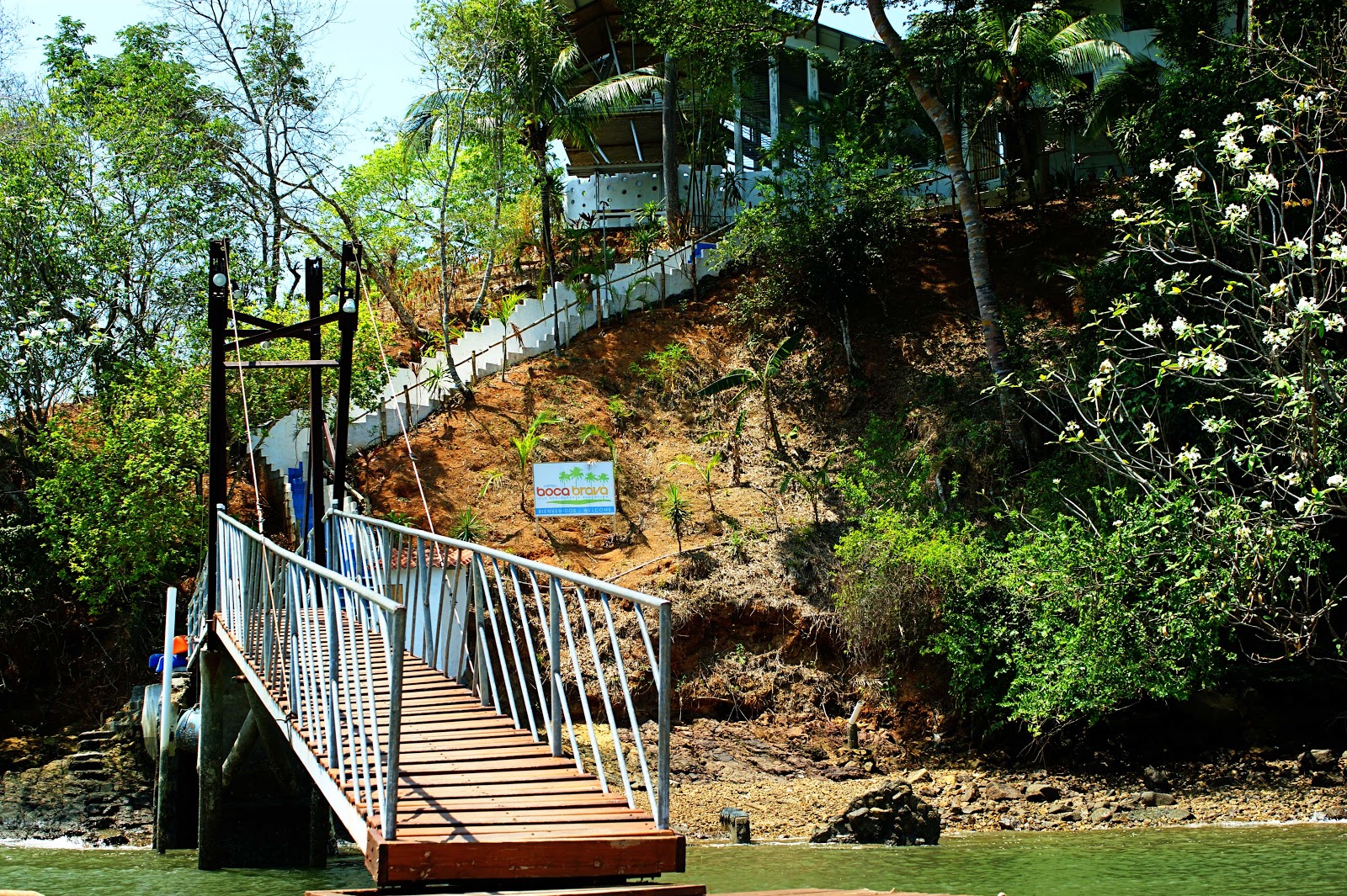 Zebresel.: Boca Brava I Panama.