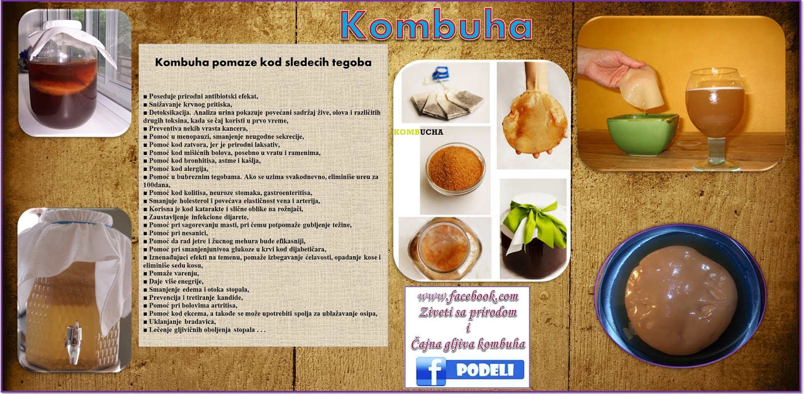 Ziveti sa Prirodom: Kombuha izvor Zdravlja!