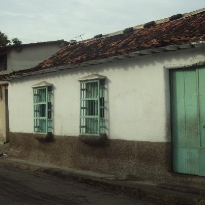 TURMERO PARA SIEMPRE