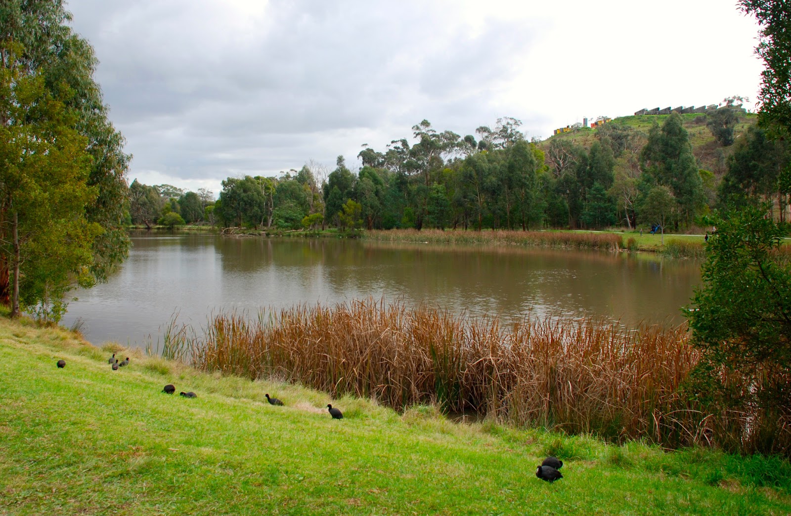 walkabouters club of victoria inc: Birdsland Reserve to Lysterfield ...