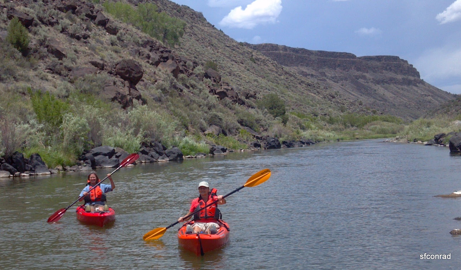 PUPPY PATHS - RVing Full-Time: A Curve In The Road/PATH!!