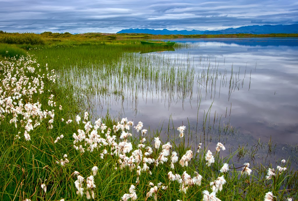 School Of Digital Photography: Using the Foreground to Improve Your ...