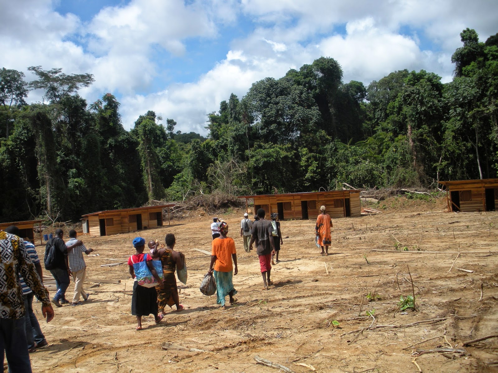 NewsWatch Cameroon: Land Rights: Bagyeli Pymies Decry Dispossession