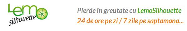 Lemo-Silhouette