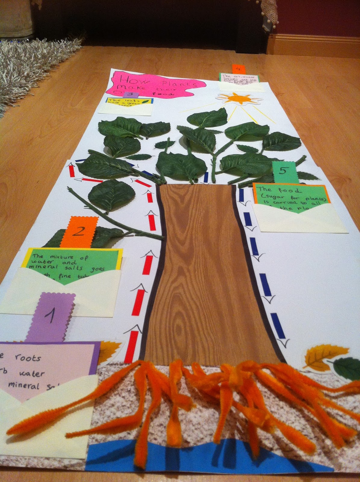 Some of the Projects Class 4 How plants make their own food