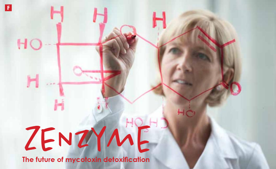 The Global Miller: ZENzyme: The future of mycotoxin detoxification