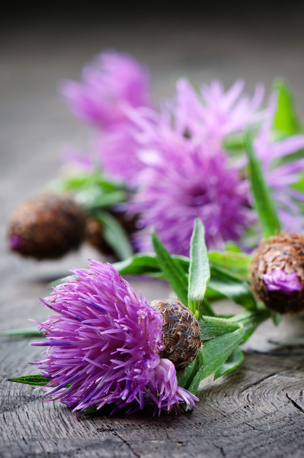 Doctors With Reiki: Irish DNA