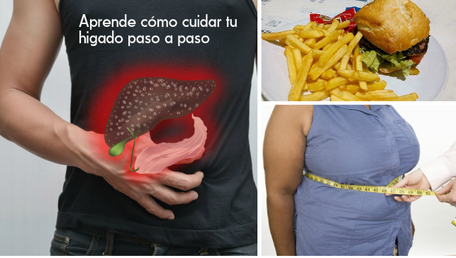 Conoce la importancia de tener un hígado sano para nuestra salud ...