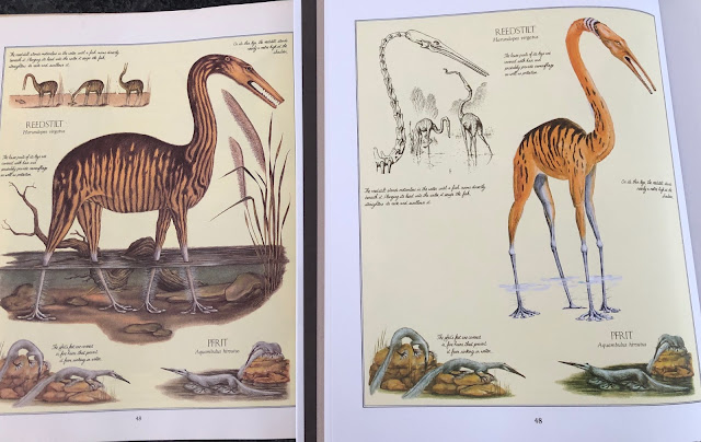 Trish Babbles: Go Get the New Edition of _After Man_ (SPOILER Review)