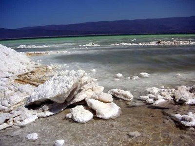 Andri Martin: 7 Daratan Terendah Di Dunia