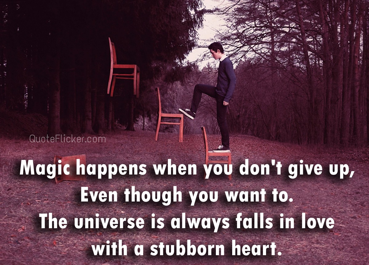 Magic Happens | Quotes Collection