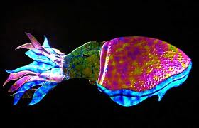 Hedda's place: Cuttlefish, Autumn and Change