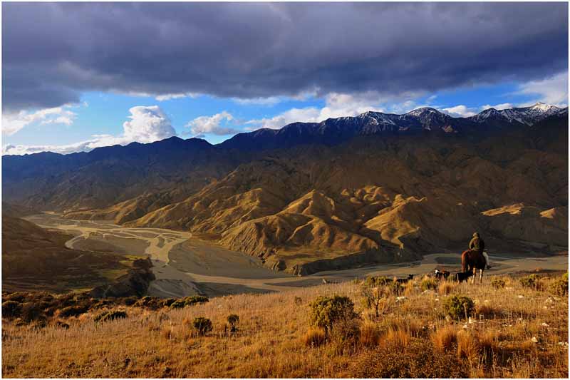 Beattie's Book Blog - unofficial homepage of the New Zealand book ...