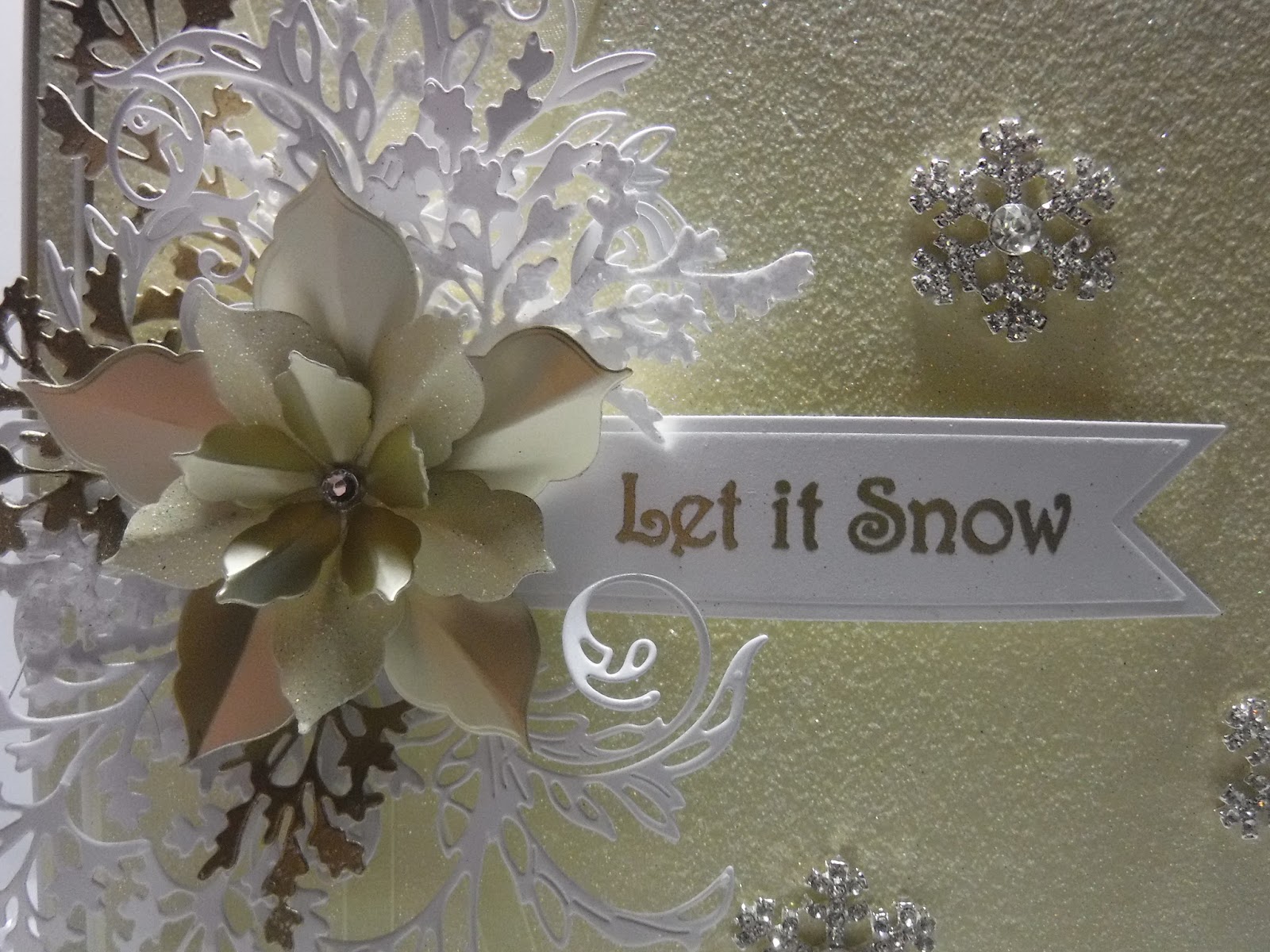 Drakes Field Cards: Coooooo eeeeee, it's only me are you there