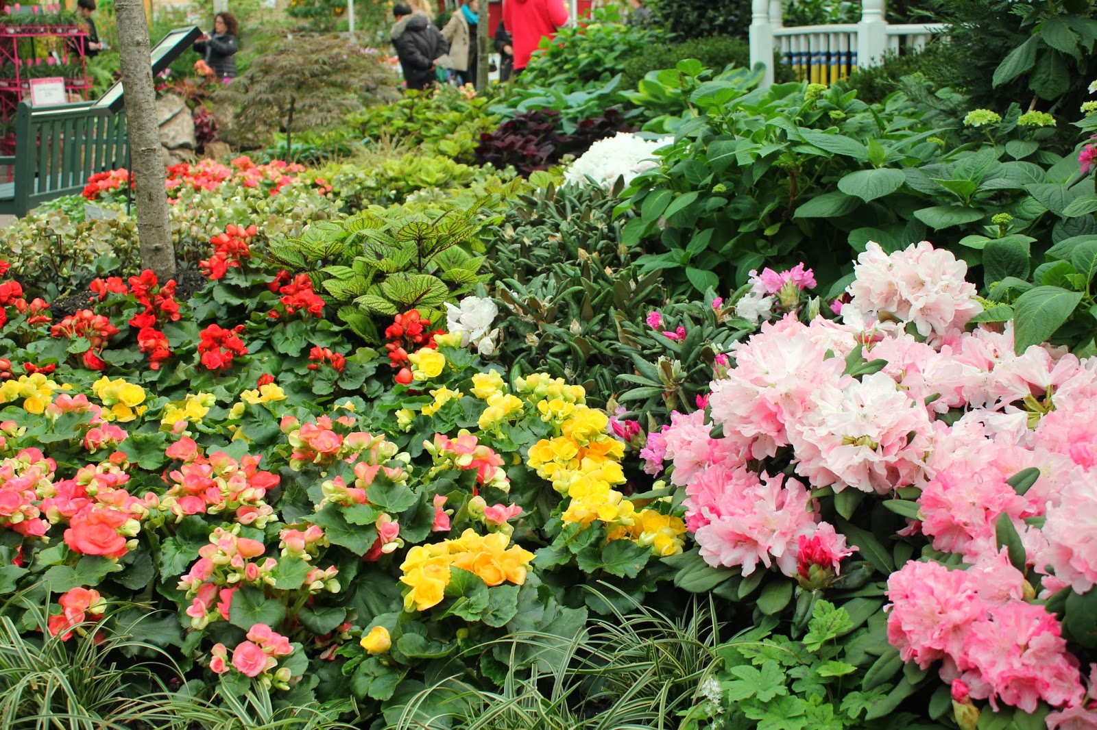 Gardening and Gardens: Spring Flower & Garden Show