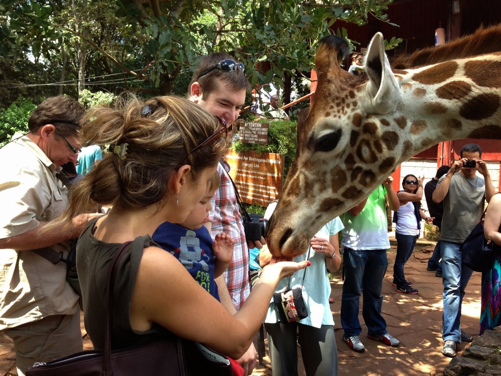 Views on Life and Experiences from a Life Coach: Cost of Living in ...