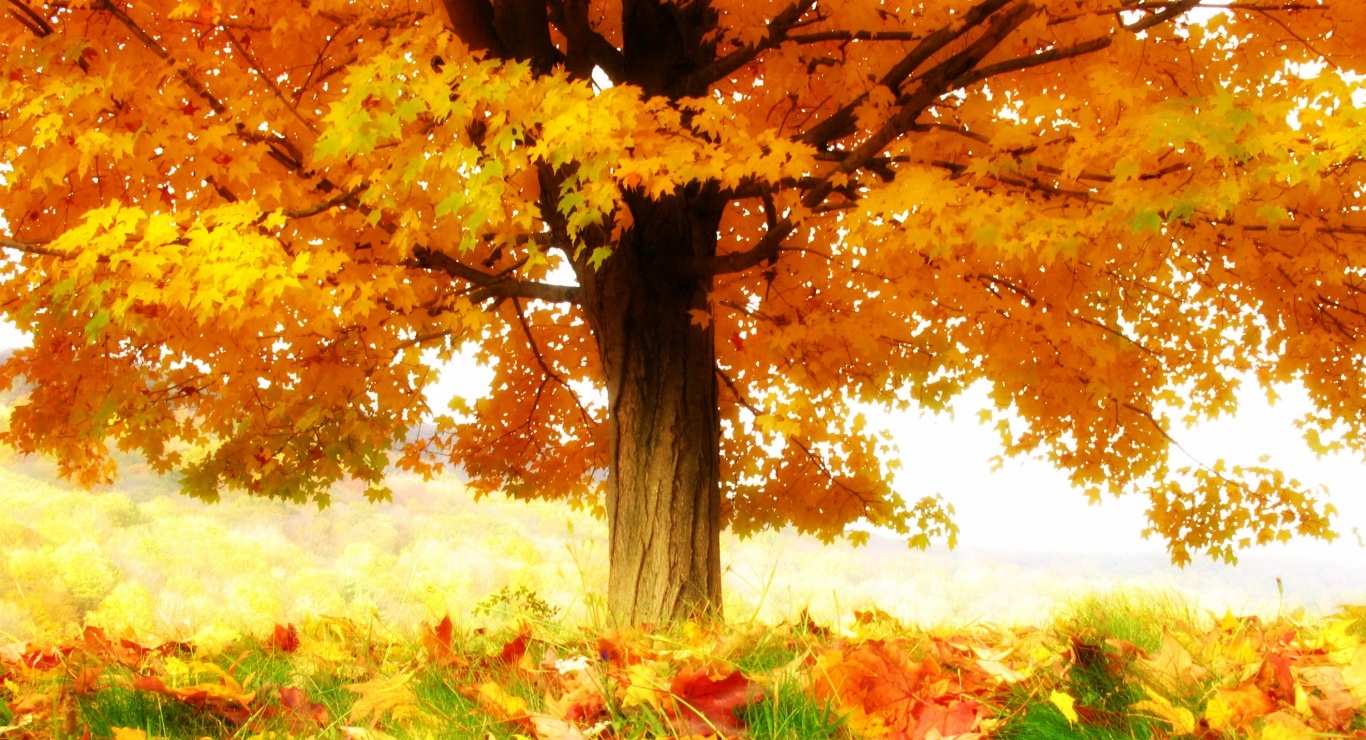 El Blog de Marcelo: 15 Nuevos paisajes del otoño: ¡Maravillas de la ...