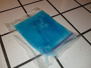 The Joy is in the Journey Home: Homemade Ice Pack